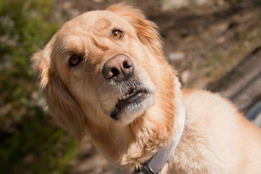 SOLIPSISTIC Synonyms: 64 Similar and Opposite Words | Merriam-Webster ...