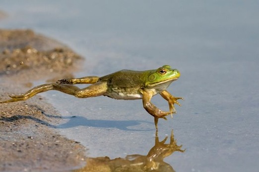 SPANGHEW Definition & Meaning - Merriam-Webster