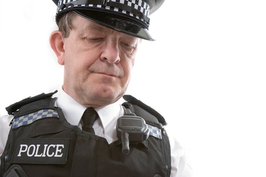 CONSTABLE Definition & Meaning - Merriam-Webster