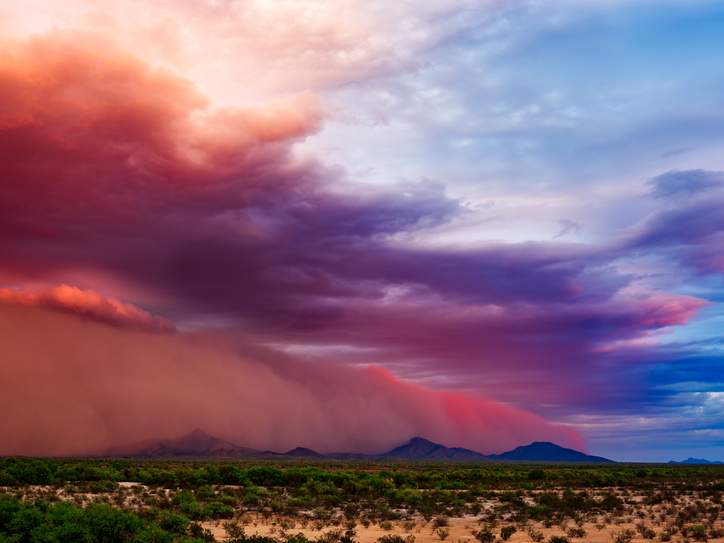 12 Lovely and Unusual Words for the Natural World | Merriam-Webster