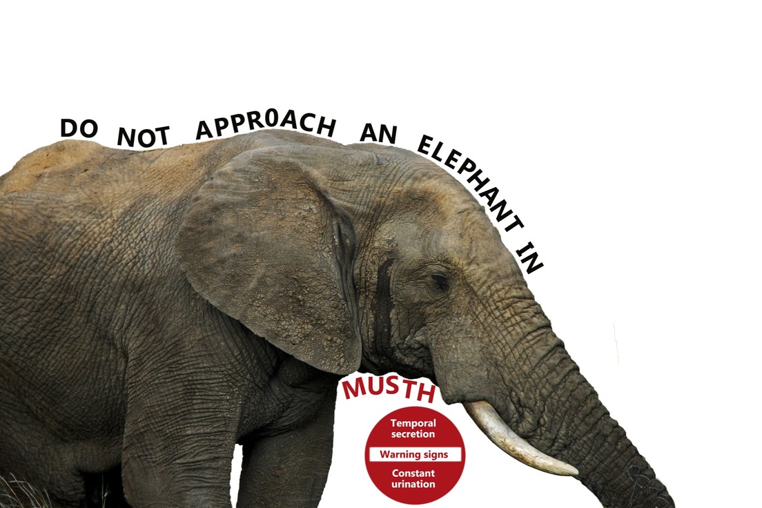 17 of the Finest Words for Drinking | Merriam-Webster