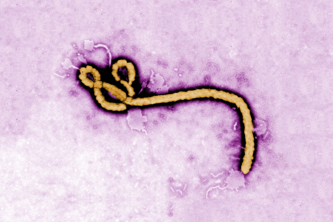 2014 Word of the Year: Culture | Merriam-Webster