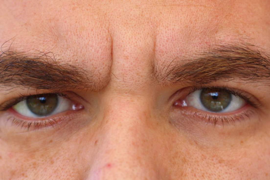 Supercilious - Words You Always Have to Look Up | Merriam-Webster