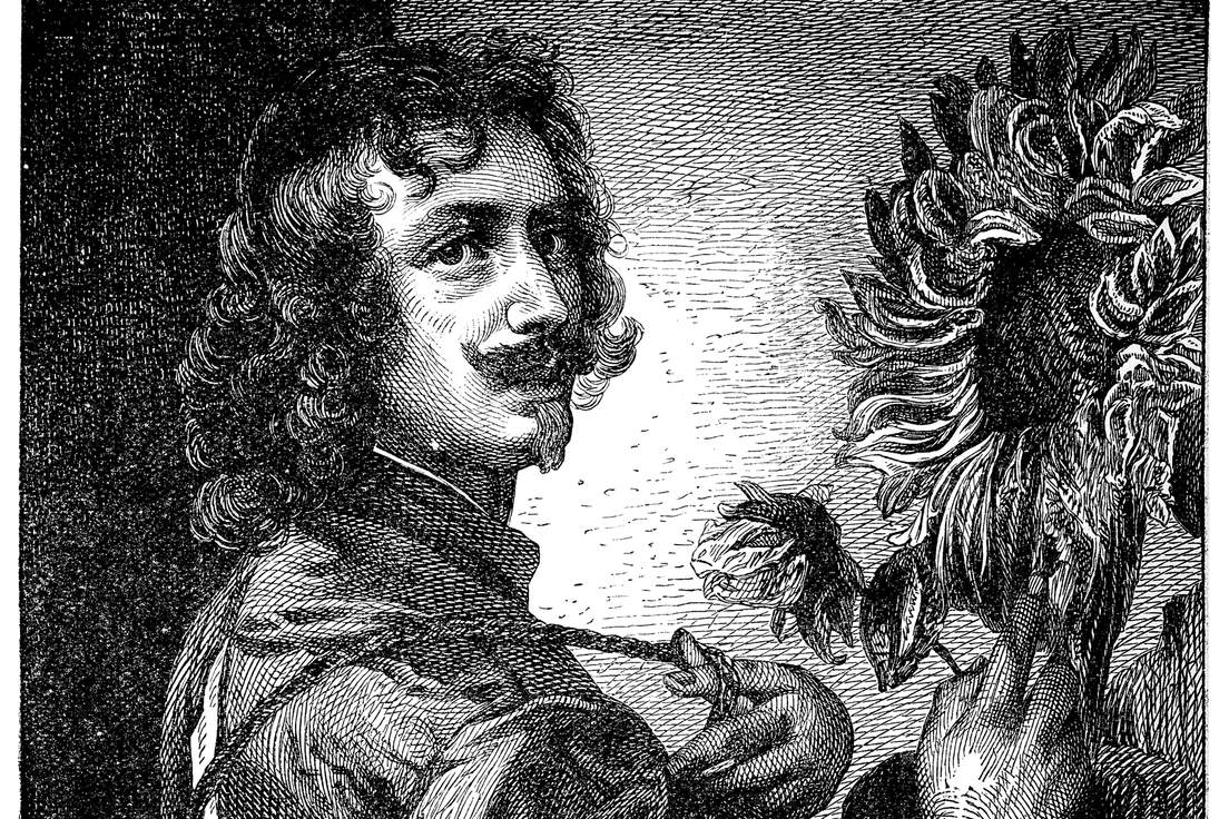 9 Whiskery Words for Facial Hair | Merriam-Webster