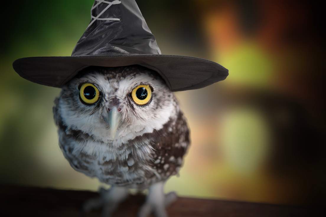 9 Fun Words for Ghosts and Goblins | Merriam-Webster