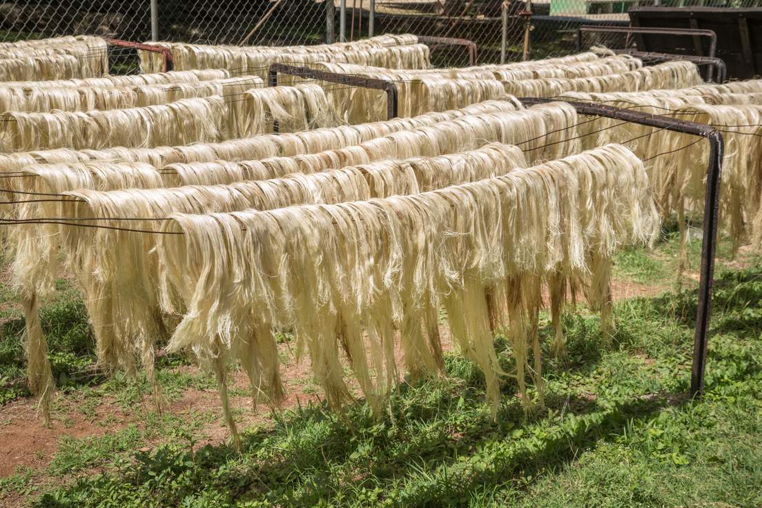 Even More Words That Sound Like Insults But Aren't | Merriam-Webster