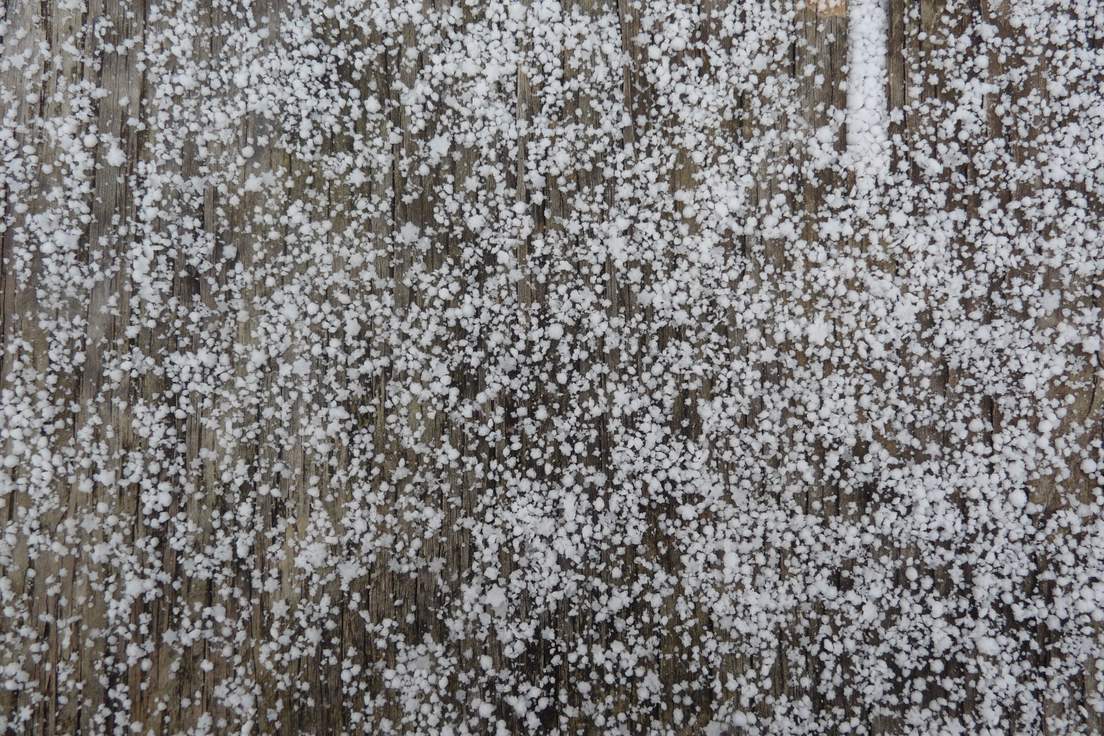 12 Lovely and Unusual Words for the Natural World | Merriam-Webster