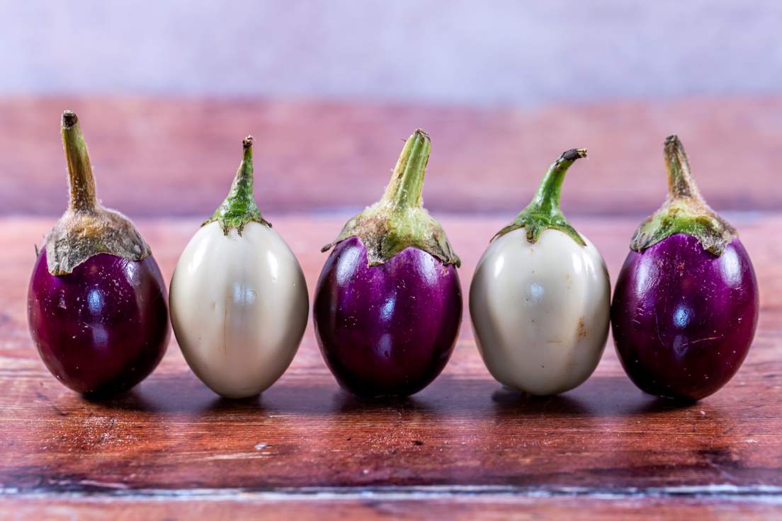 Navy bean - How 7 Common Fruits and Veggies Got Their Names | Merriam ...