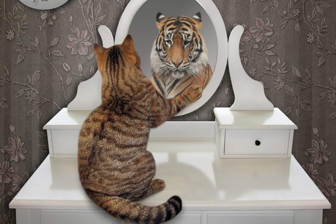 Great Big List of Beautiful and Useless Words, Vol. 5 | Merriam-Webster