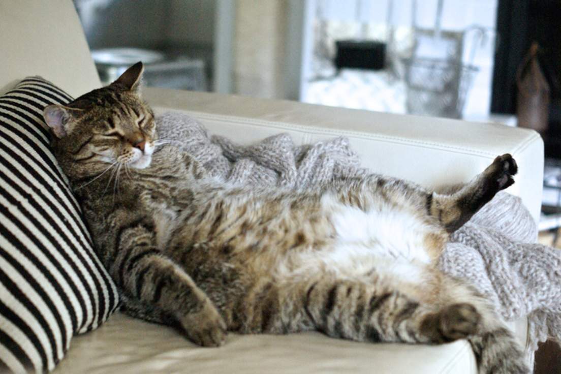 Words for Lazy People and Laziness | Merriam-Webster