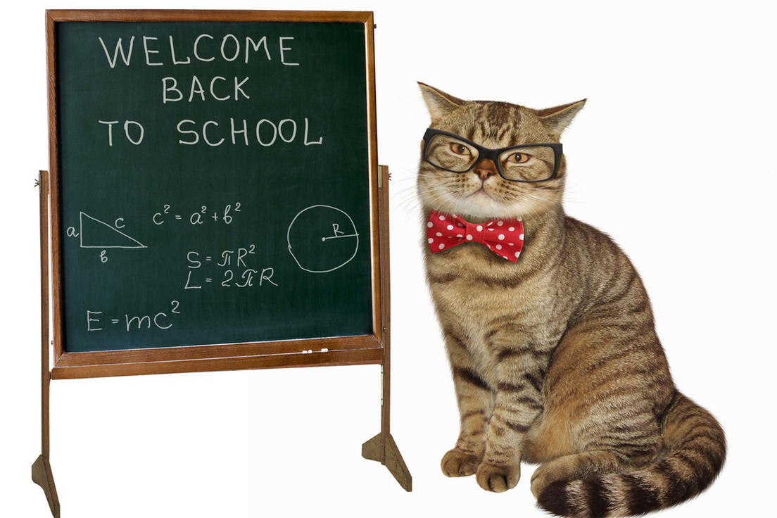 The Word Origins of "Algebra," "Calculus," and Other Scary Math Terms ...