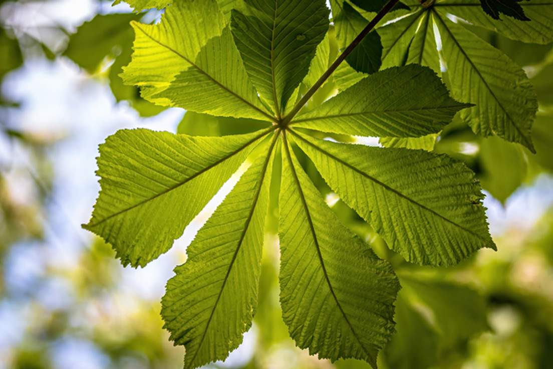 12 Underrated Words That Deserve More Love | Merriam-Webster