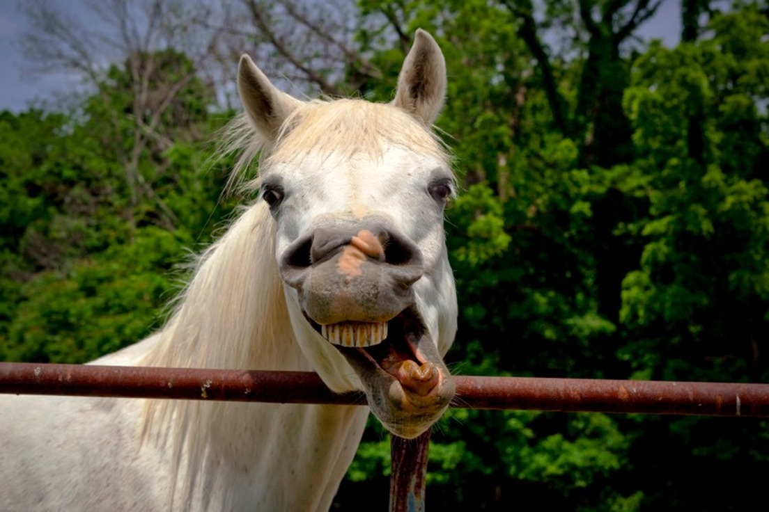 Odious - Are You Misusing These 10 Common Words? | Merriam-Webster