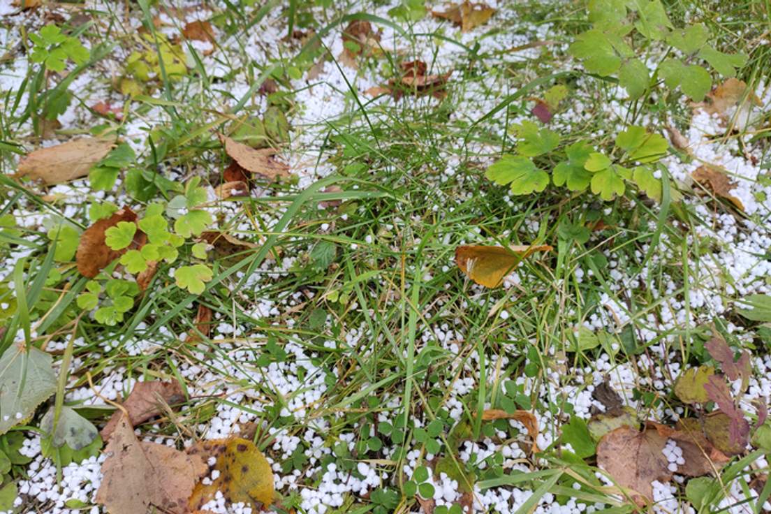 Graupel - Words For Things You Didn't Know Have Names, Vol. 3 | Merriam ...