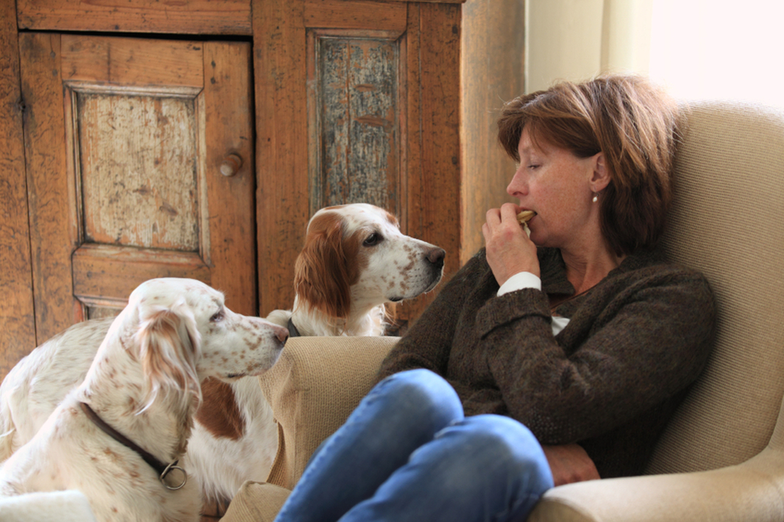 Words That Describe the Most Annoying Habits | Merriam-Webster