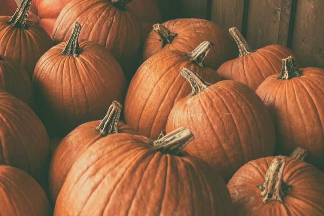 Ten Harvest Words for the Cornucopia | Merriam-Webster