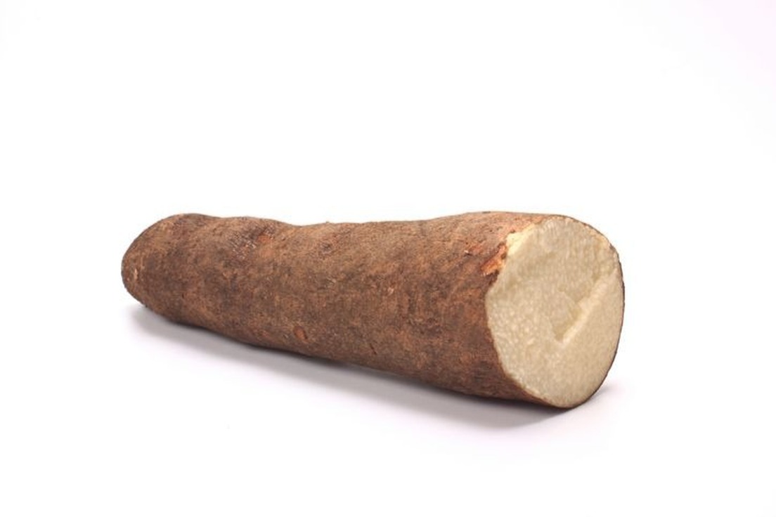 Ten Harvest Words for the Cornucopia | Merriam-Webster