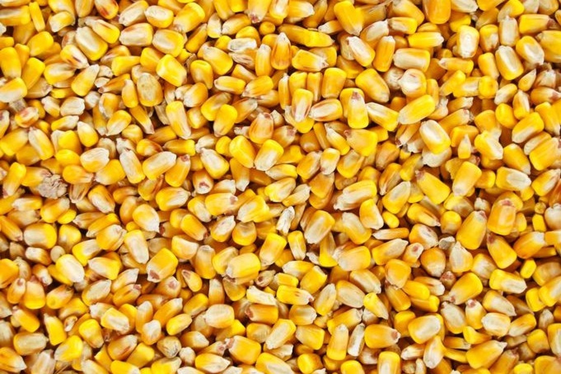 cereal, serial - Homophones That Have More Than One Syllable | Merriam ...