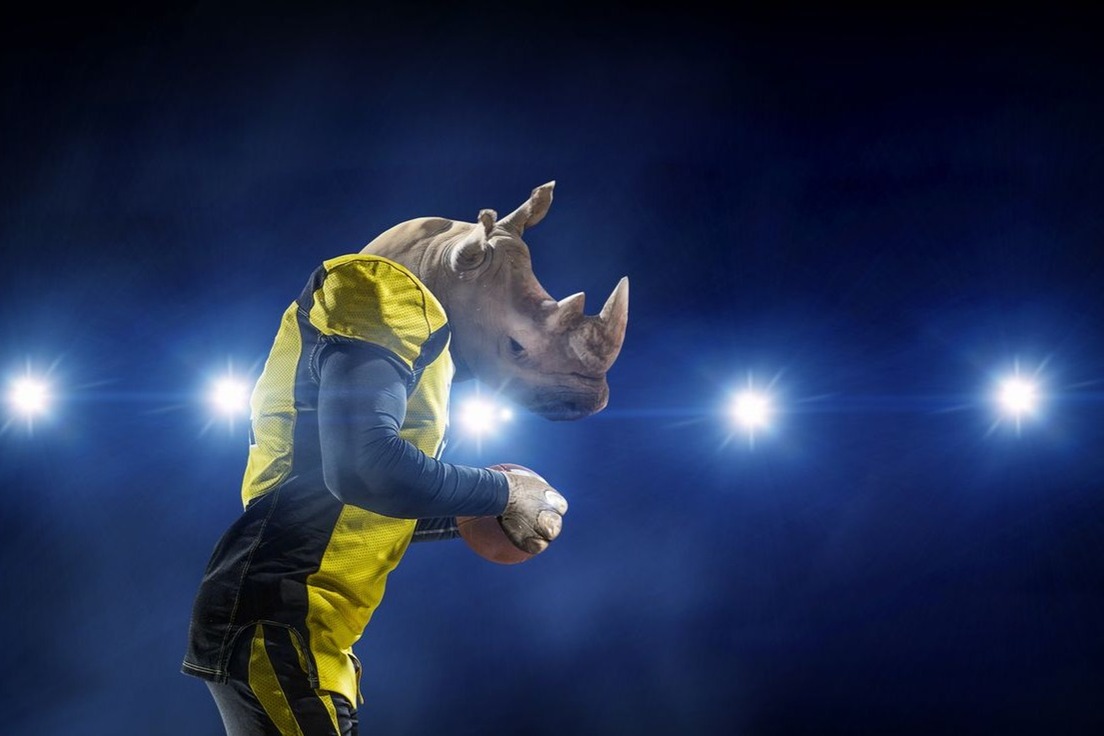 Jinx - 9 Words from the Magical Realm | Merriam-Webster