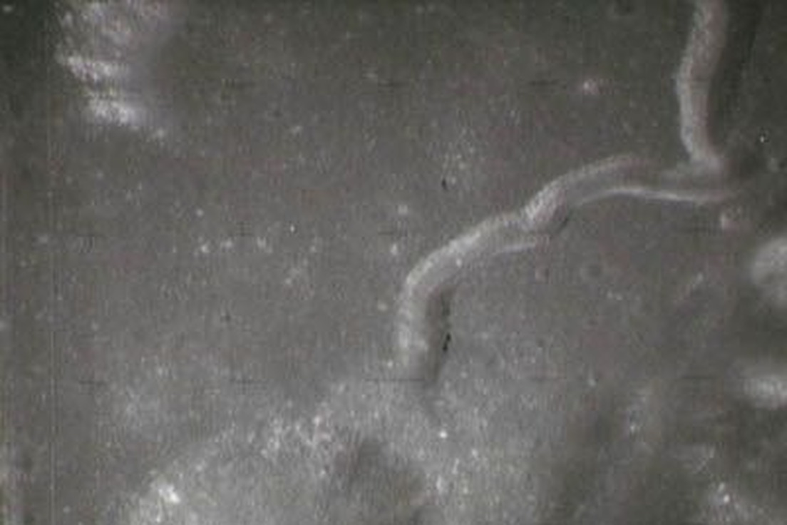 KREEP - 12 Moon Words For A Lunar Travelogue | Merriam-Webster