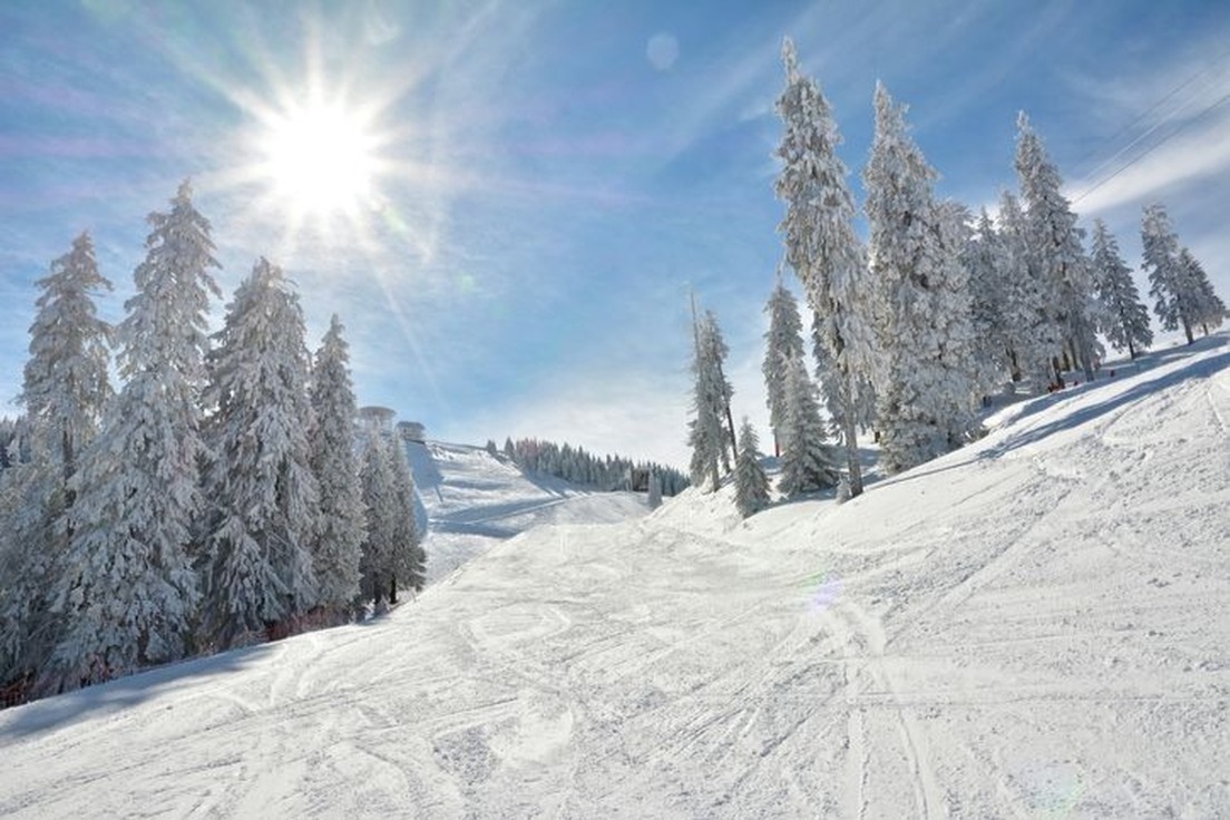 12 Winter Olympics Words You Need To Know Merriam Webster 12-winter-olympics-words-you-need-to-know-merriam-webster