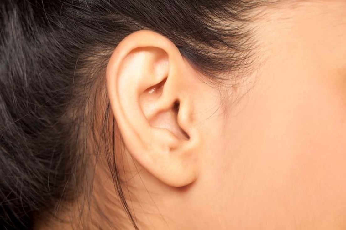 Pinna - Anatomy 101: Obscure Words for Body Parts | Merriam-Webster
