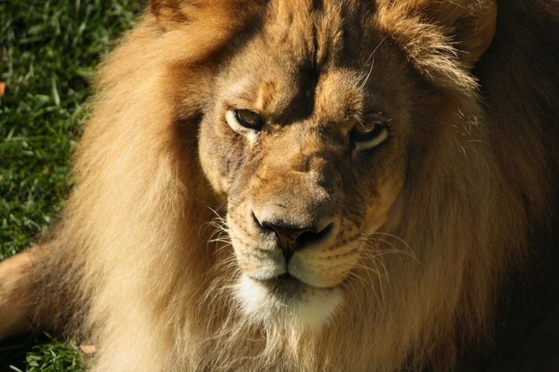 Words from Letters in the Greek Alphabet | Merriam-Webster