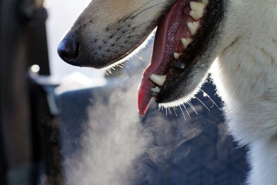 7 Fancy Words for Crude Bodily Functions | Merriam-Webster