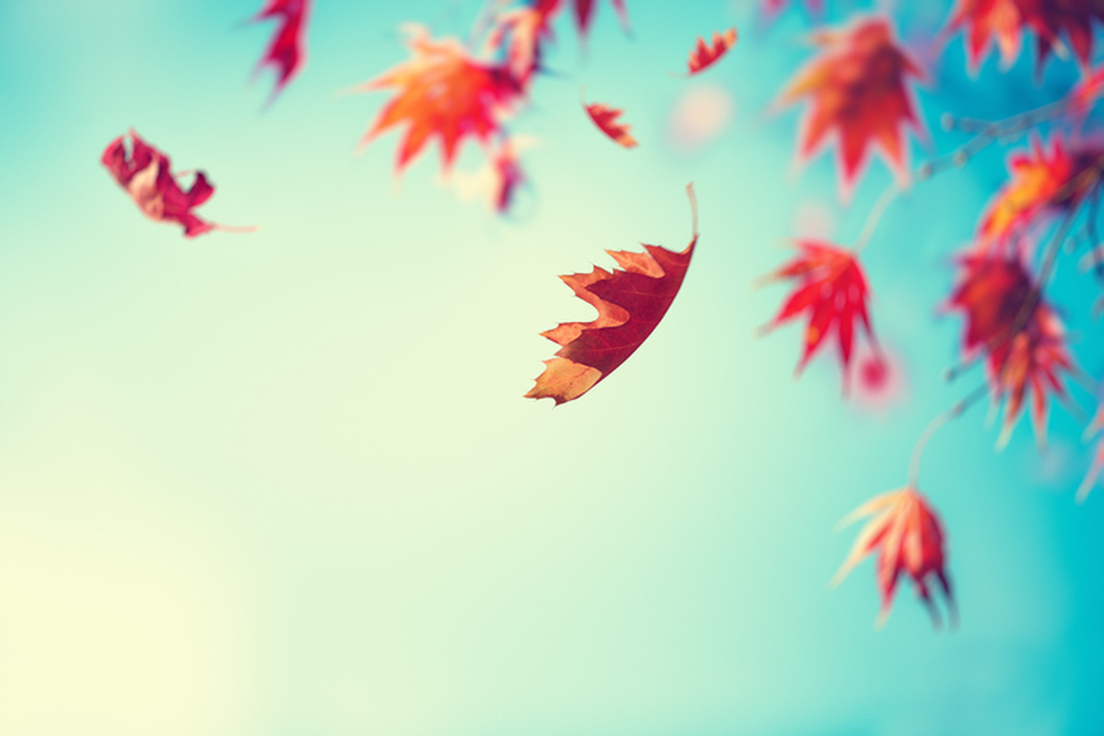 Onomancy - 30 Ways to Tell the Future | Merriam-Webster