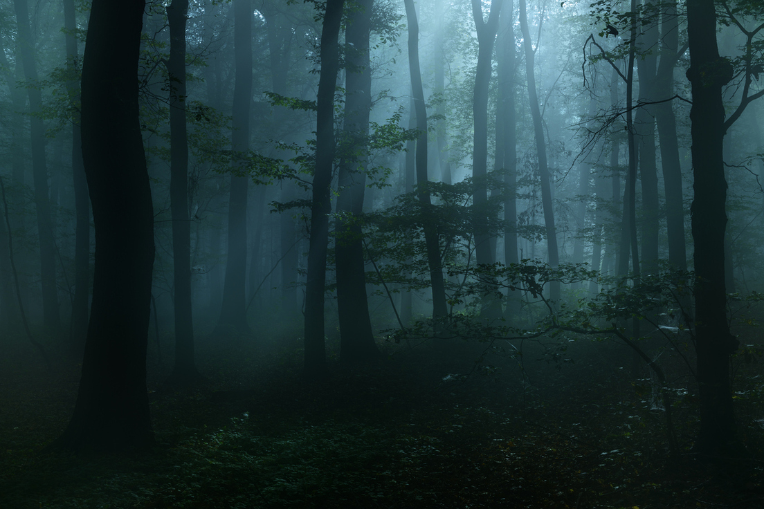 Umbra - Stygian, Umbra, and Other Darkness Words | Merriam-Webster Umbra - Stygian, Umbra, and Other Darkness Words | Merriam-Webster