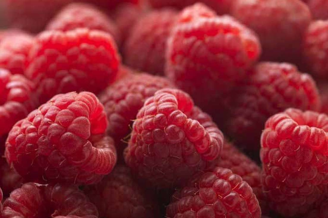 The Parts of the Fruit: Seed, Pericarp, and More | Merriam-Webster