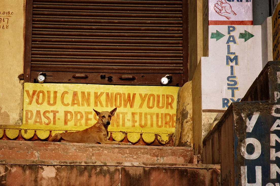 8 More Grammar Terms You Used to Know: Special Verb Edition | Merriam ...