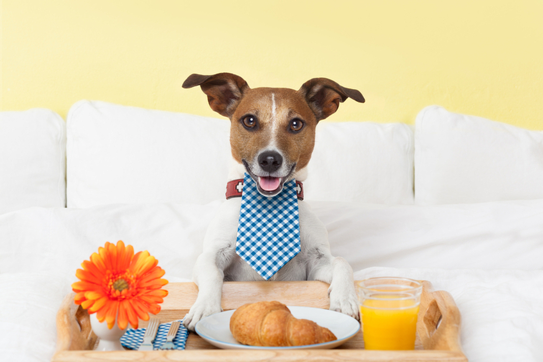 10 'Rude' Words From Old Etiquette Guides | Merriam-Webster