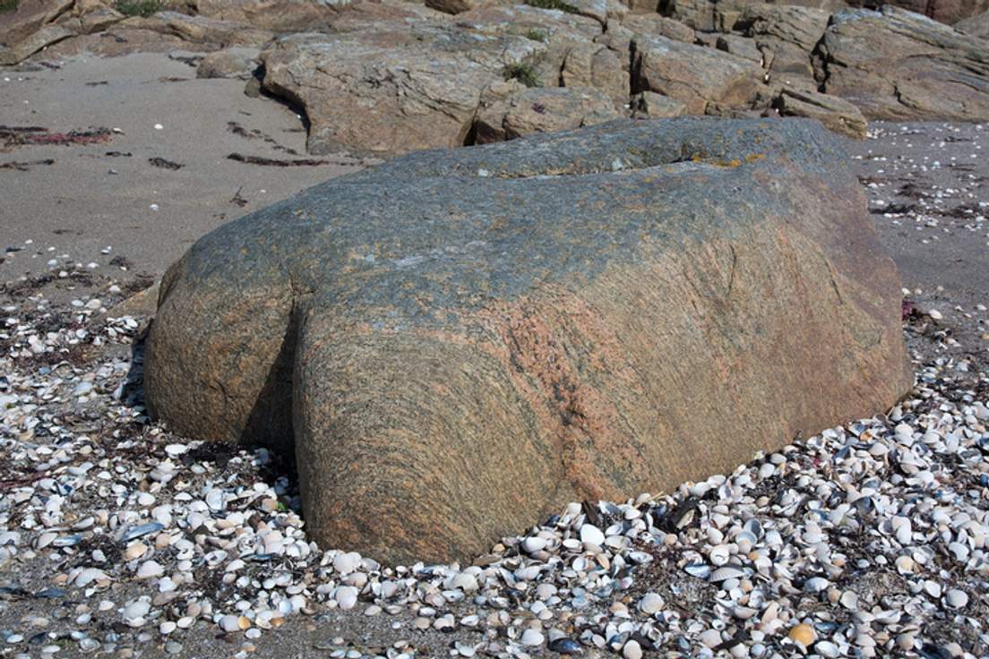 Rare and Amusing Insults, Volume 3 | Merriam-Webster