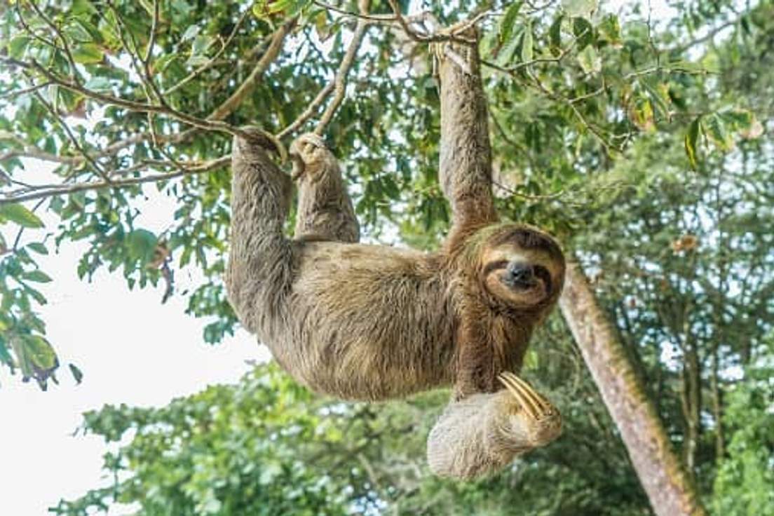 6 Words Whose Abstract Meanings Came First | Merriam-Webster