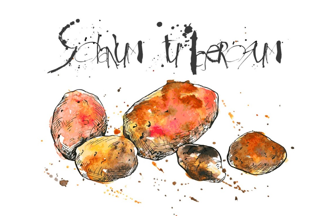 Thanksgiving Food Related Phrases: Cold Turkey, Gravy Train, and More ...