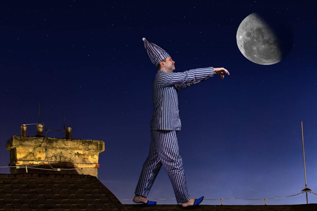 11 Words for People Who Love Sleep | Merriam-Webster