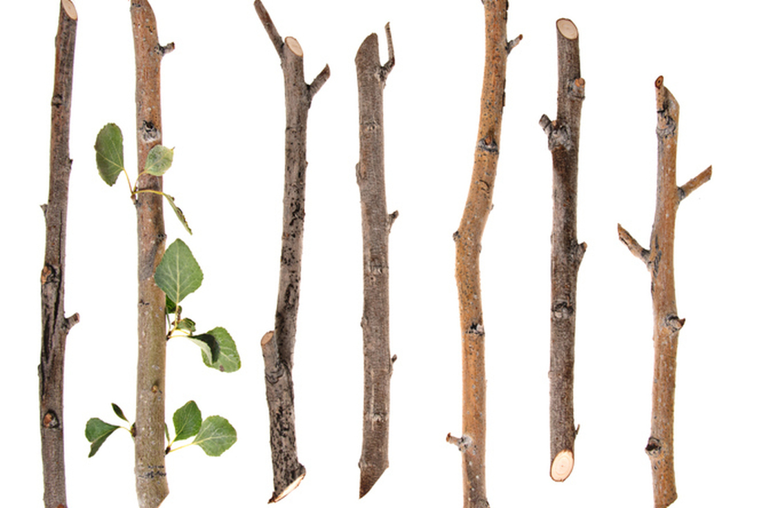 Pyromancy - 30 Ways to Tell the Future | Merriam-Webster