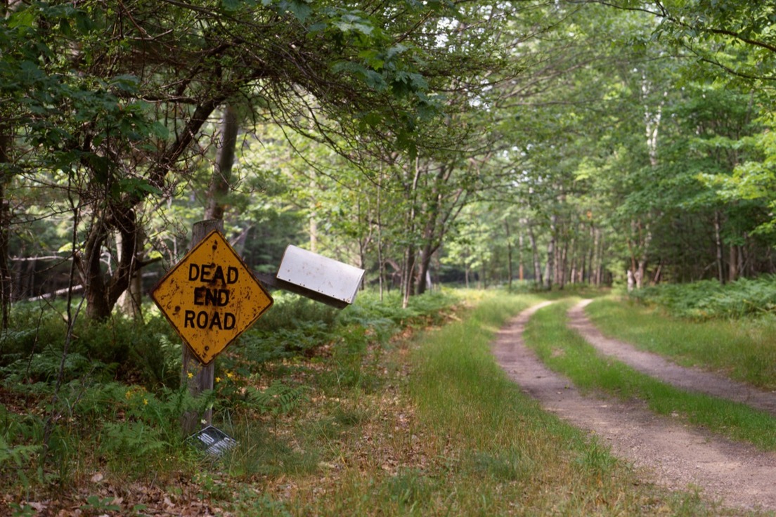 Wild Goose Chase - 10 Phrases Invented by Shakespeare | Merriam-Webster