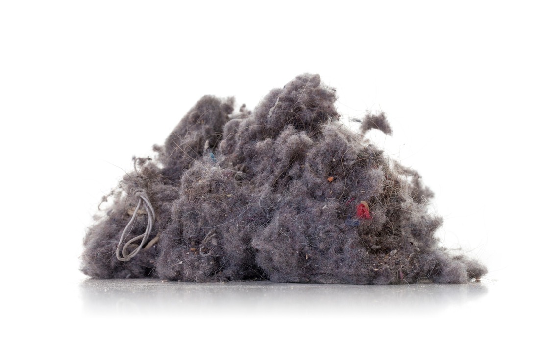 Toxiphobia - 12 Unusual Phobias | Merriam-Webster