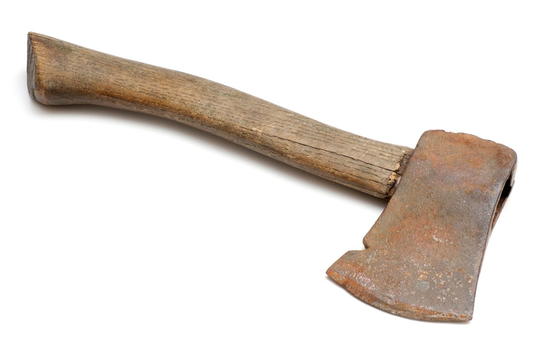 13 Bizarre Things That Somehow Have Words | Merriam-Webster