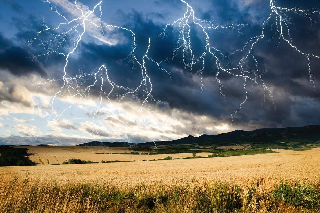 Anatidaephobia - 14 Phobias You Probably Haven't Heard Of | Merriam-Webster