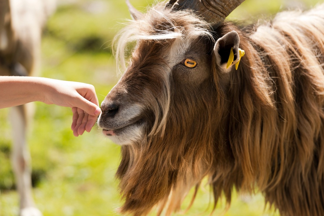 Aibohphobia - 14 Phobias You Probably Haven't Heard Of | Merriam-Webster