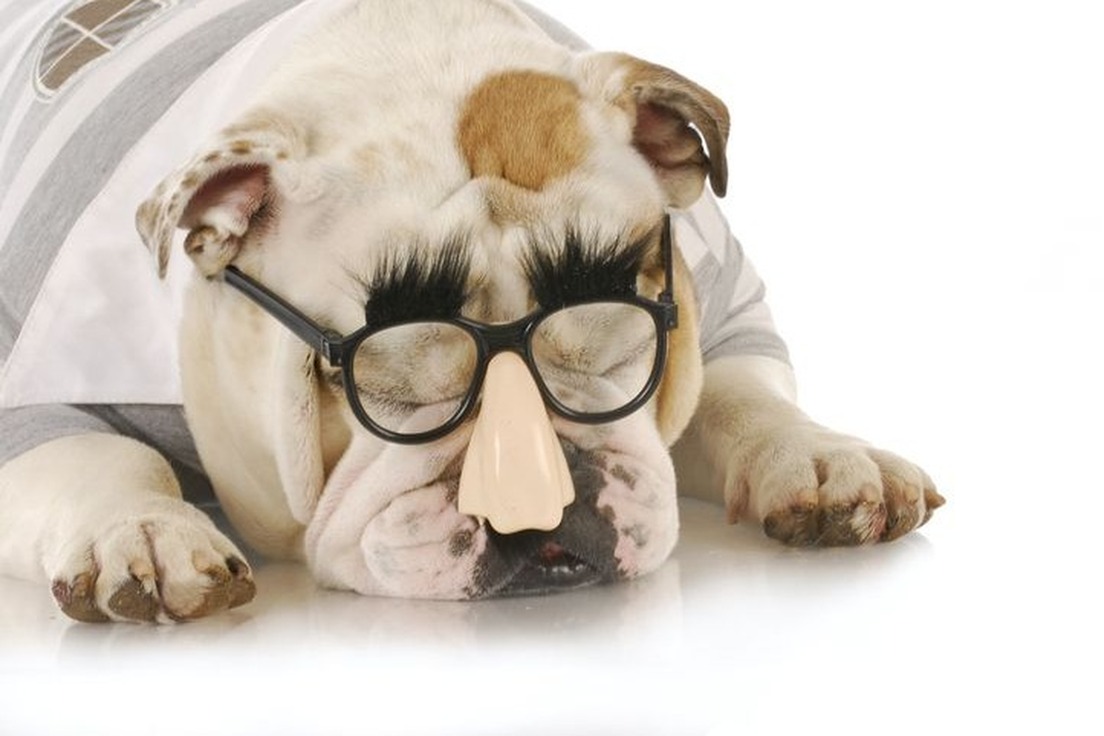 9 Words for Impostors | Merriam-Webster