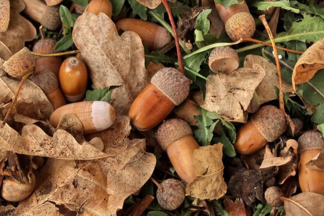 Callipygian - 9 Useful Words You've Probably Never Used | Merriam-Webster