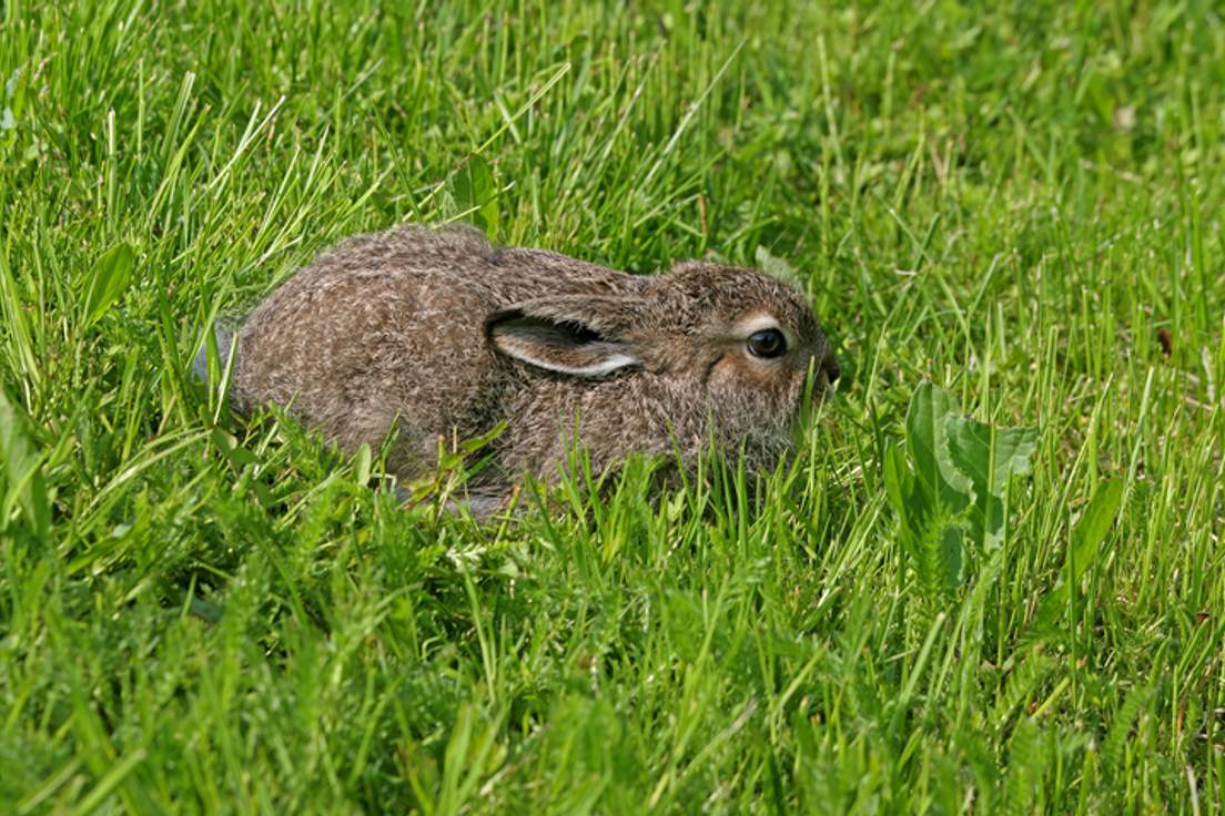 Words For Things You Didn't Know Have Names, Vol. 4 | Merriam-Webster