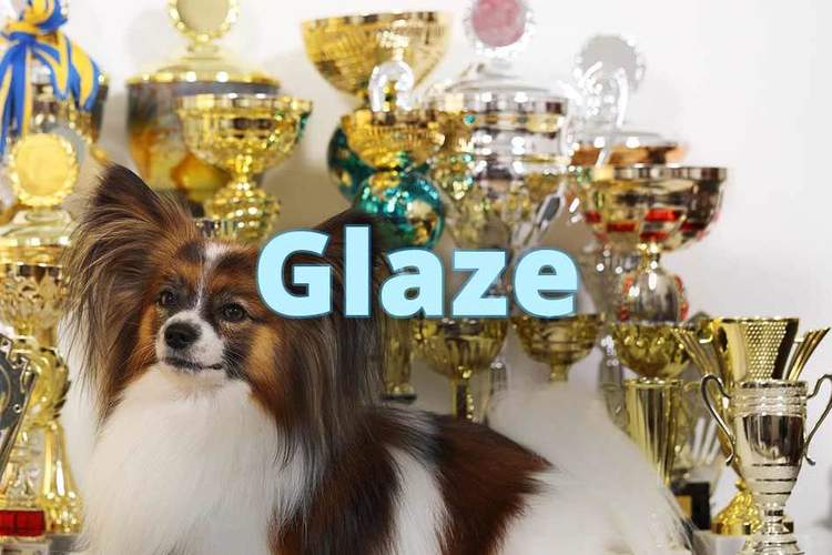 GLAZE Definition & Meaning - Merriam-Webster