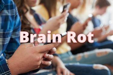 ROTTED Definition & Meaning - Merriam-Webster