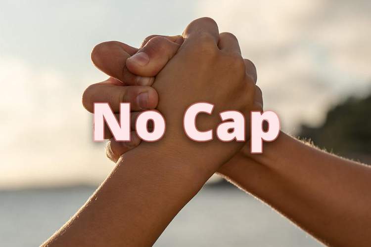 CAPPED Definition & Meaning - Merriam-Webster