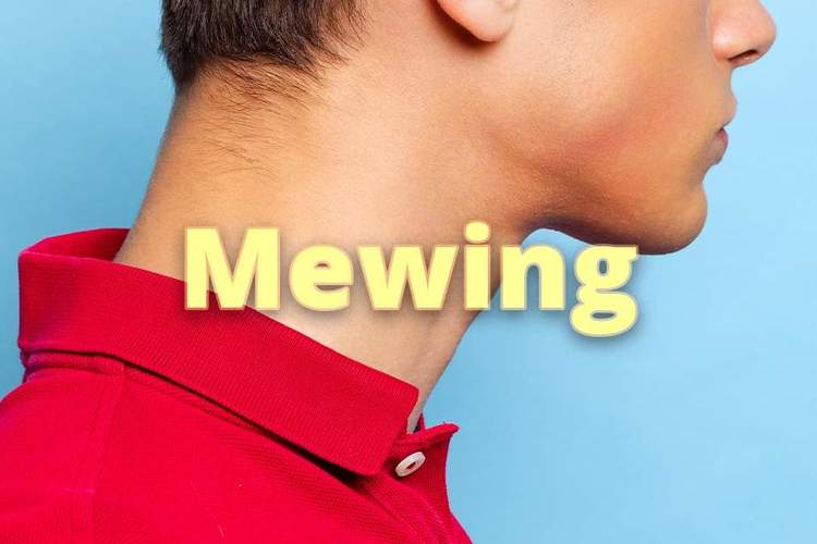 MEW Definition & Meaning - Merriam-Webster